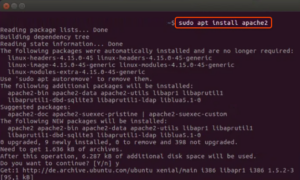 How to Set Up a Basic Web Server on Ubuntu | Step-by-step Guide